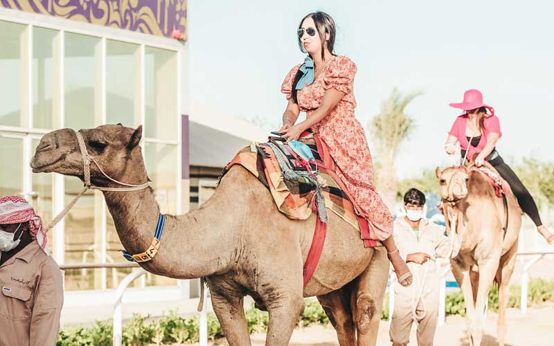 Camel Racing Dubai | Al Marmoom Camel Racing Track | Deals On Tickets